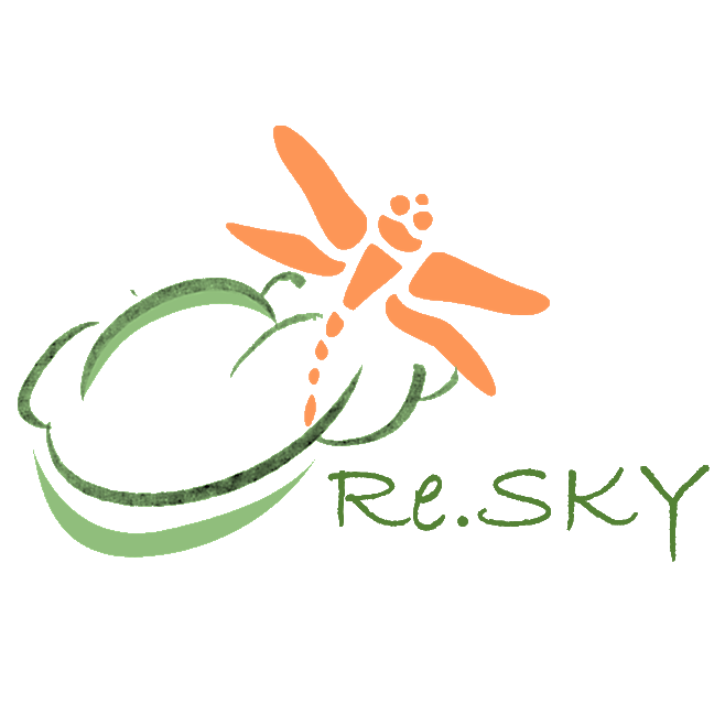 Re.Sky Edutravel – Life is a journey, not a destination.